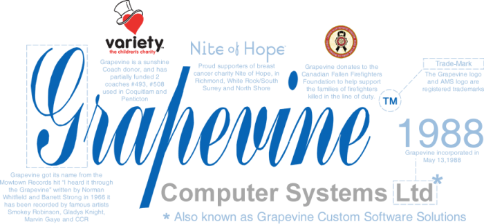 Grapevine Custom Solutions | Who We Are